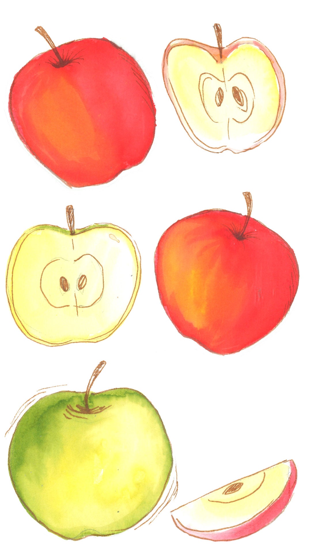Colorful Set Clipart Apple Illustration at 400 Dpi.asset With Print ...