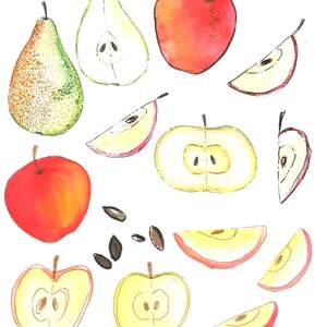 Colorful Set Clipart Apple Illustration at 400 Dpi.asset With Print ...