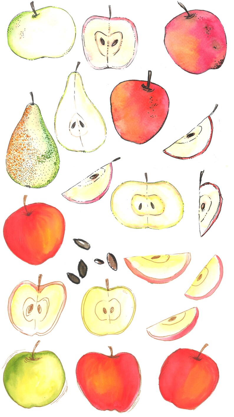 Colorful Set Clipart Apple Illustration at 400 Dpi.asset With Print ...