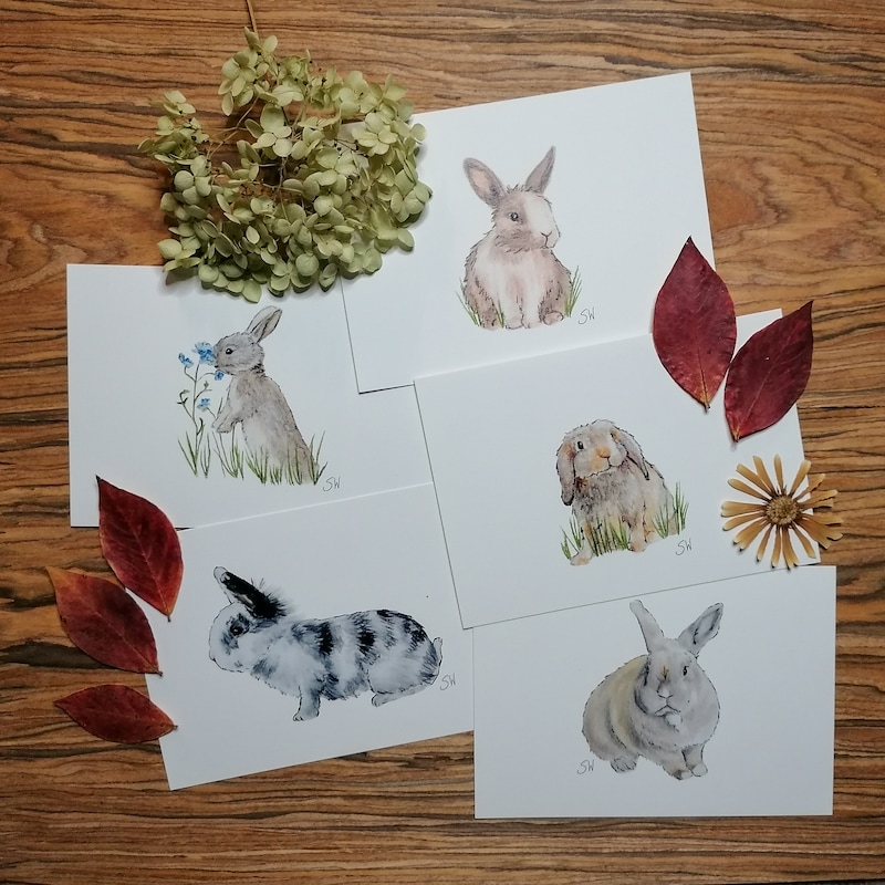 Rabbit Postcard - Etsy