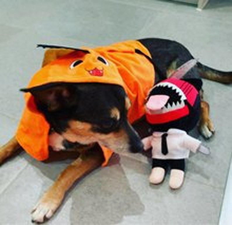 Pochita Anime Cat Dog Pets Halloween Party Costume - Etsy
