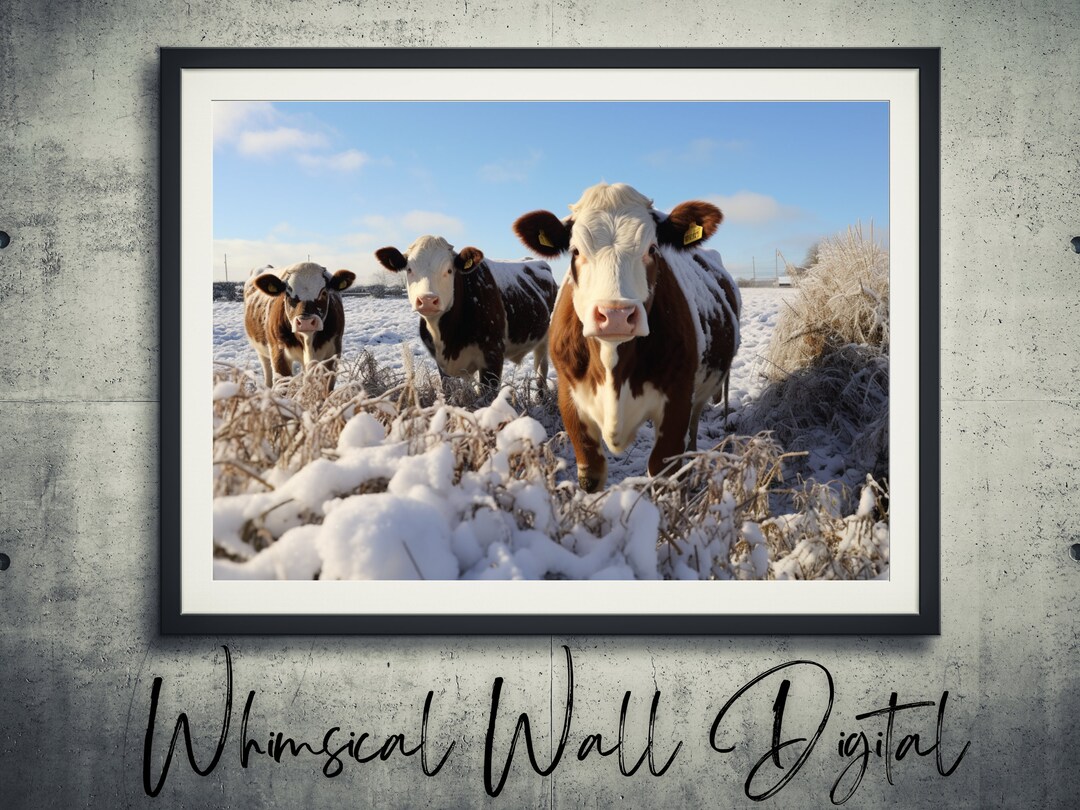 PRINTABLE Snowy Cows Picture Instant Download Printable Wall Art ...