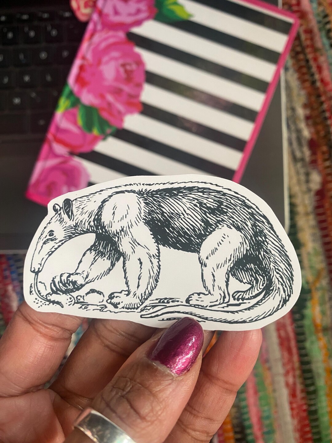 Anteater Matte White Sticker - Etsy