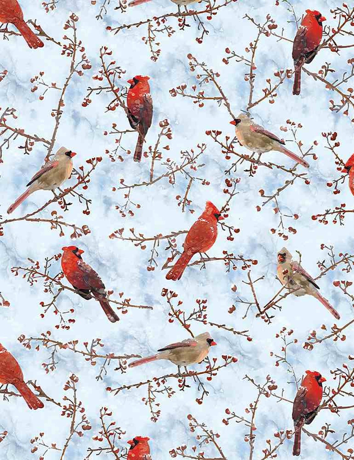 Cardinal Bird - Little Ocean Blue Studio - Fabric by the Yard - 100% ...