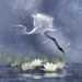Egret Dawn Flight - Original Art Prints by Thomas Little - Etsy