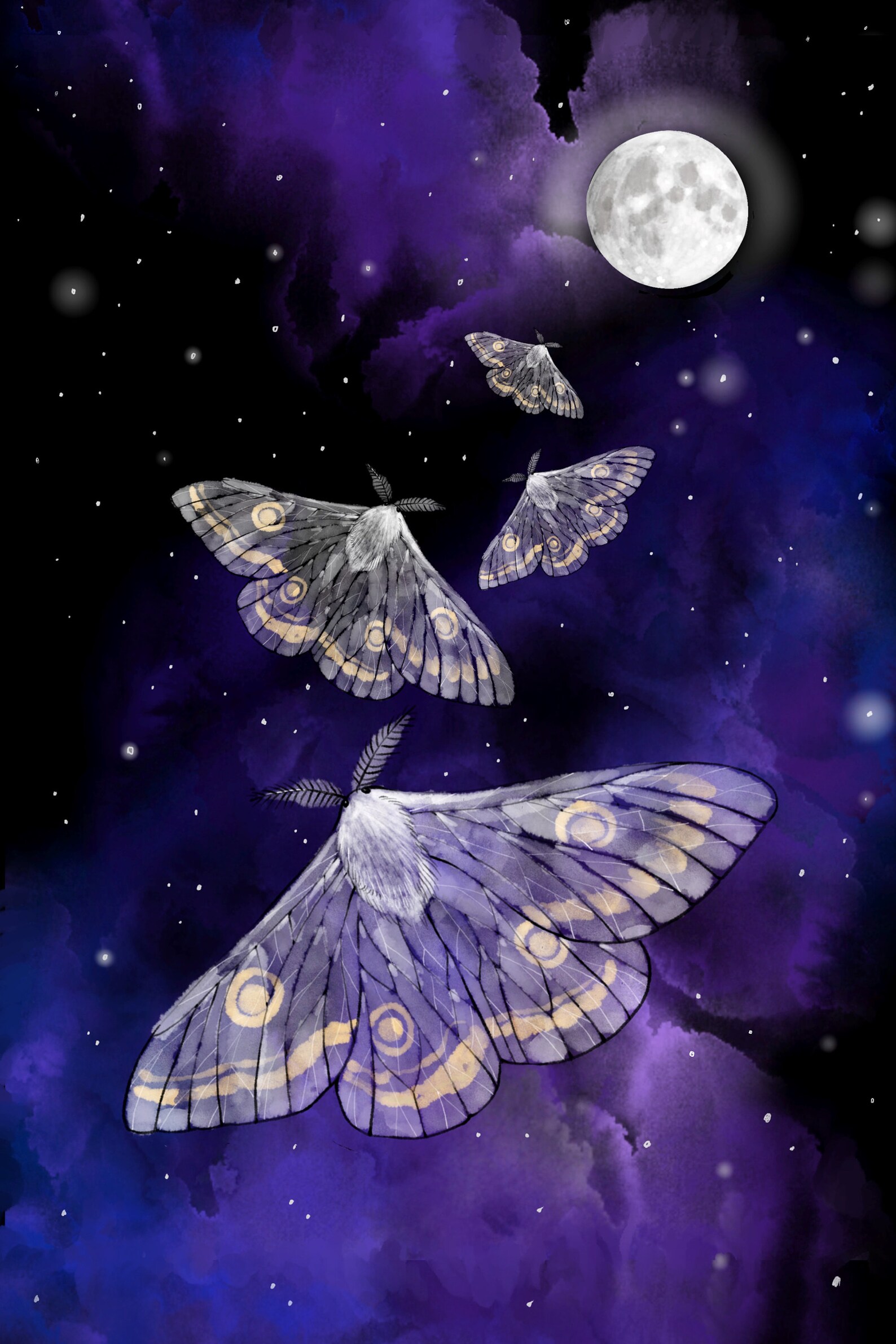 Moon Moths - Original Art Prints by Thomas Little - Etsy