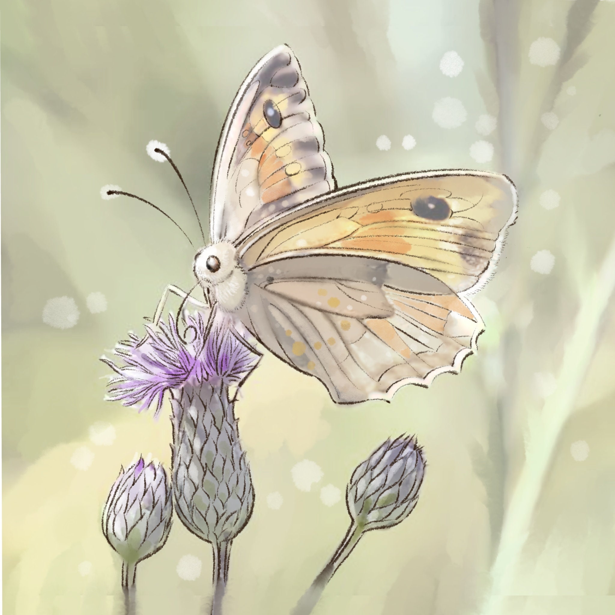 Butterfly in the Real World - Original Art Prints by Thomas Little - Etsy