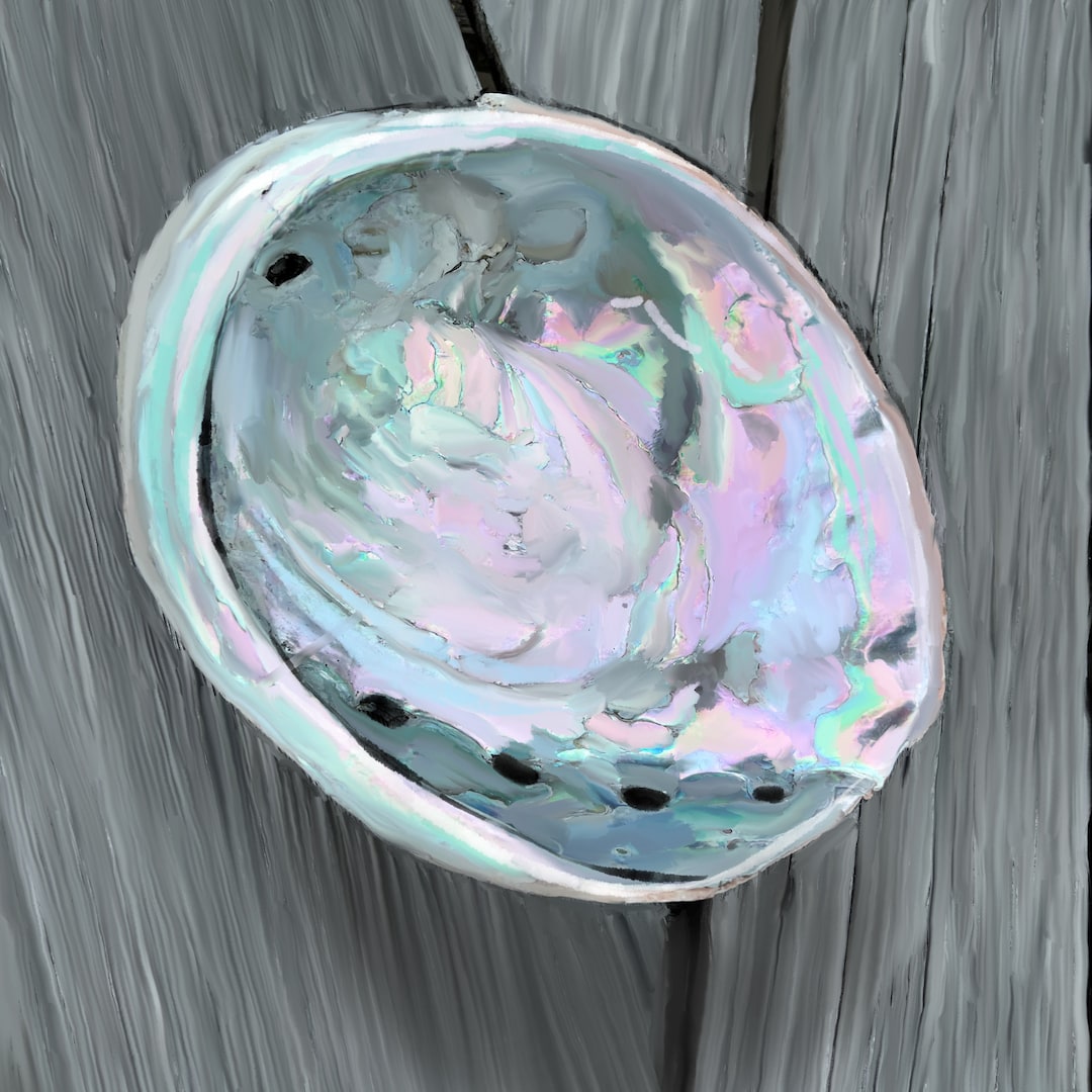 Abalone and Bleached Wood - Original Art Prints by Thomas Little - Etsy