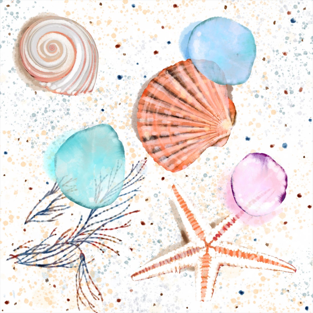 Shells Sand and Sea Glass - Original Art Prints by Thomas Little - Etsy