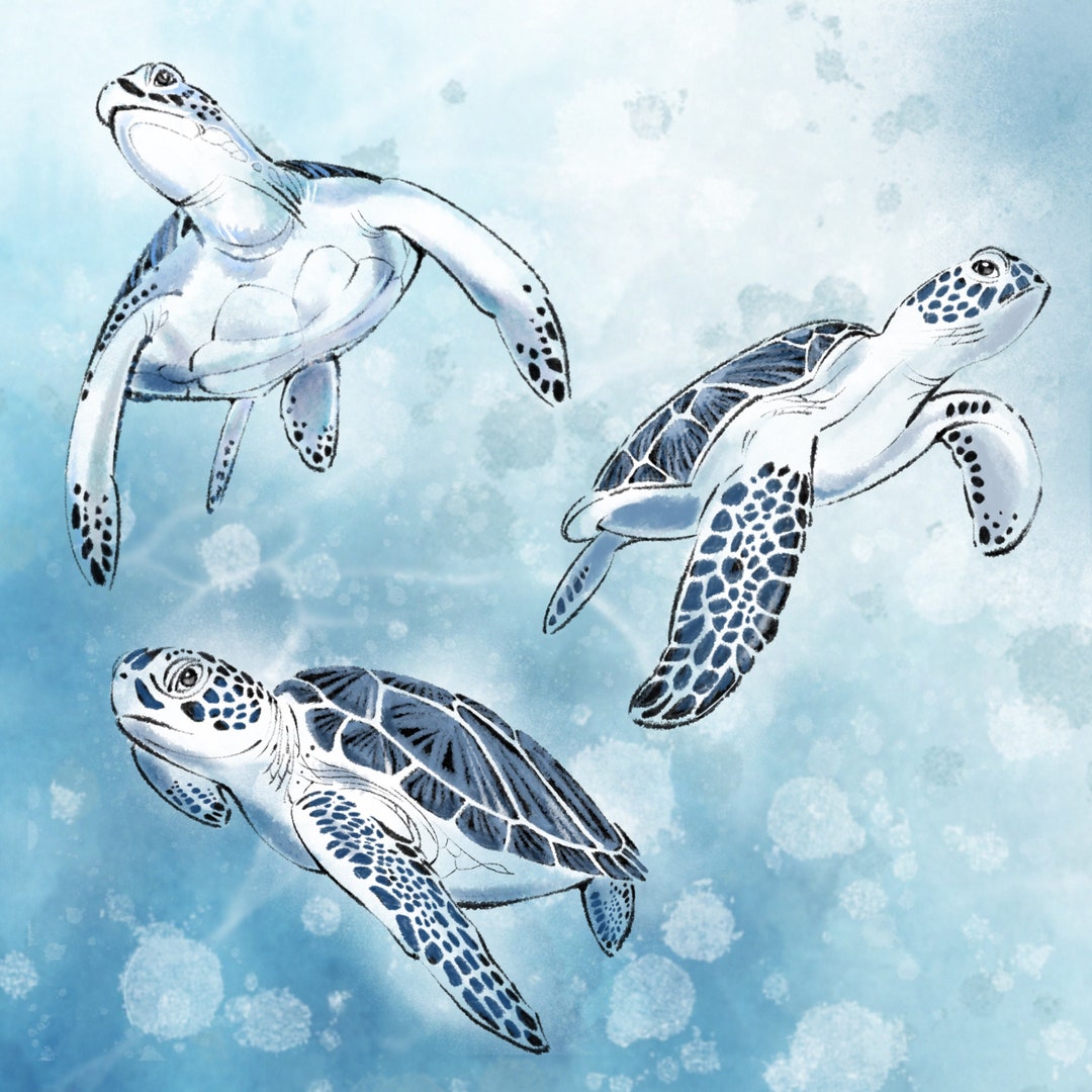 Sea Turtles in Blue - Original Art Prints by Thomas Little - Etsy