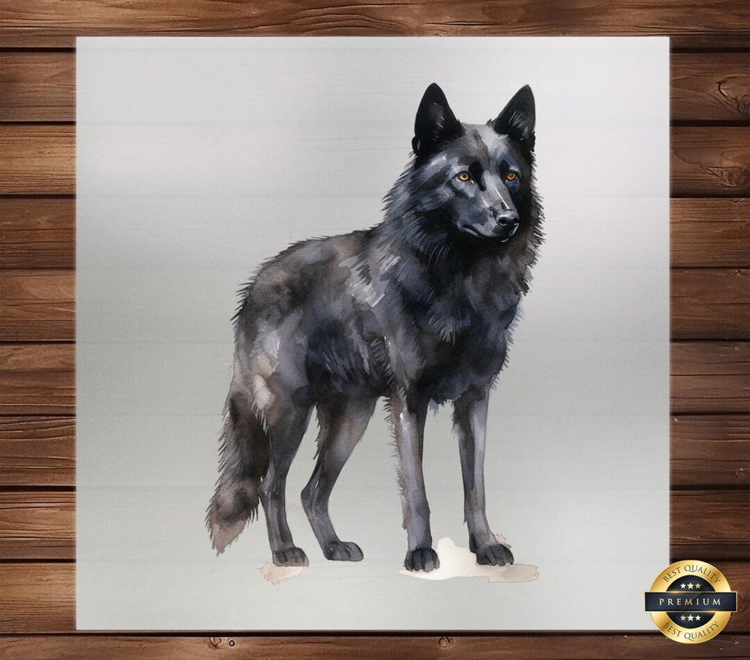 Watercolor Wolf DTF Transfer, 6 Different Image Options, Iron on Decal ...