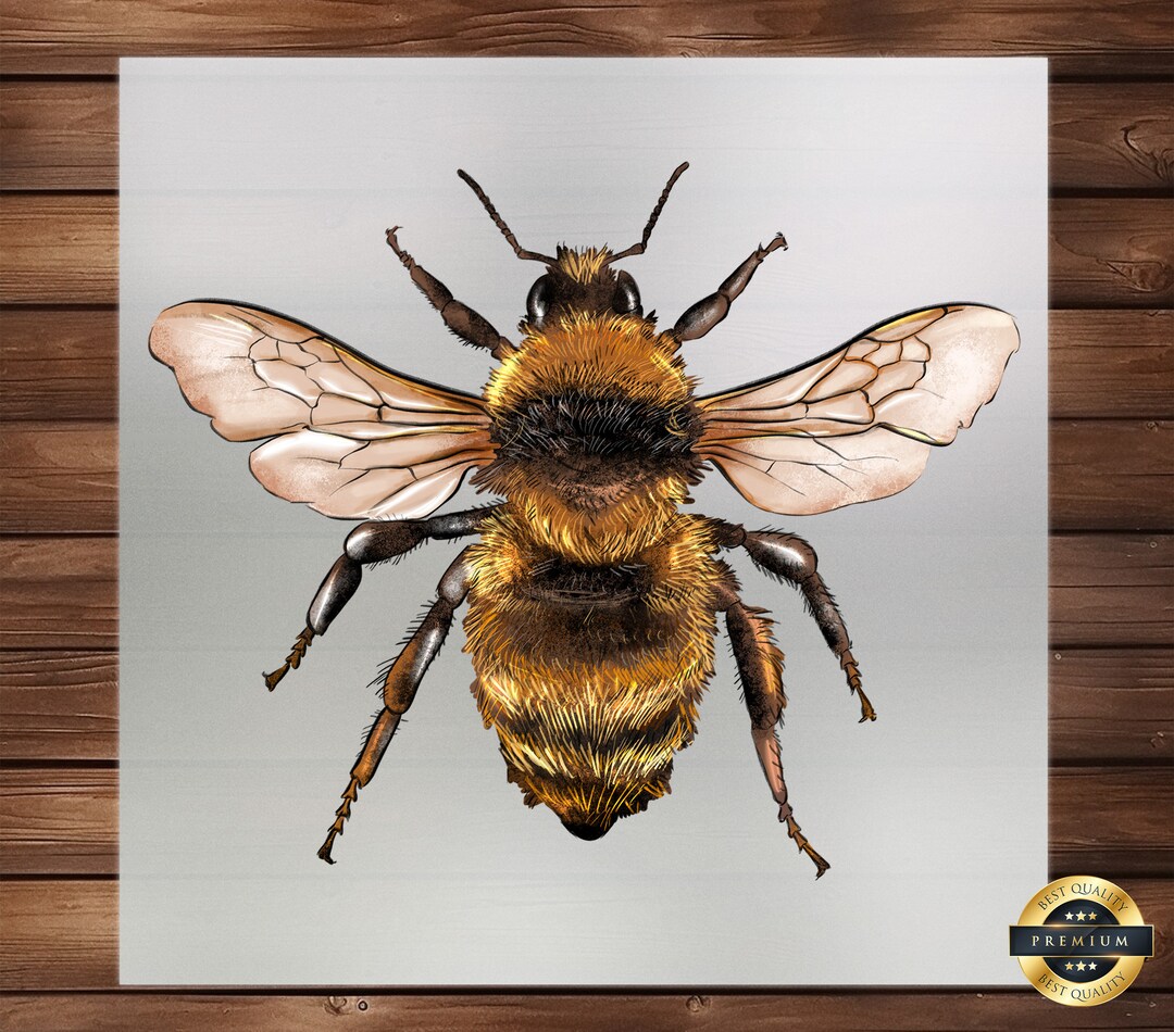 Western Bee DTF Transfer, Rustic Honeybee Design for Custom Apparel ...