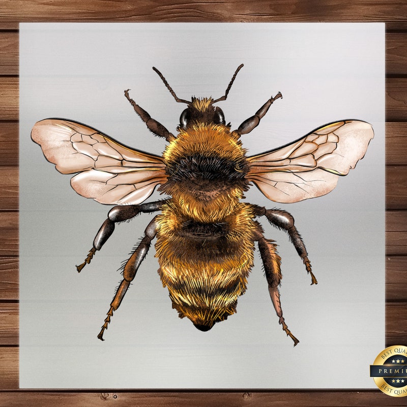 Bee Transfers - Etsy