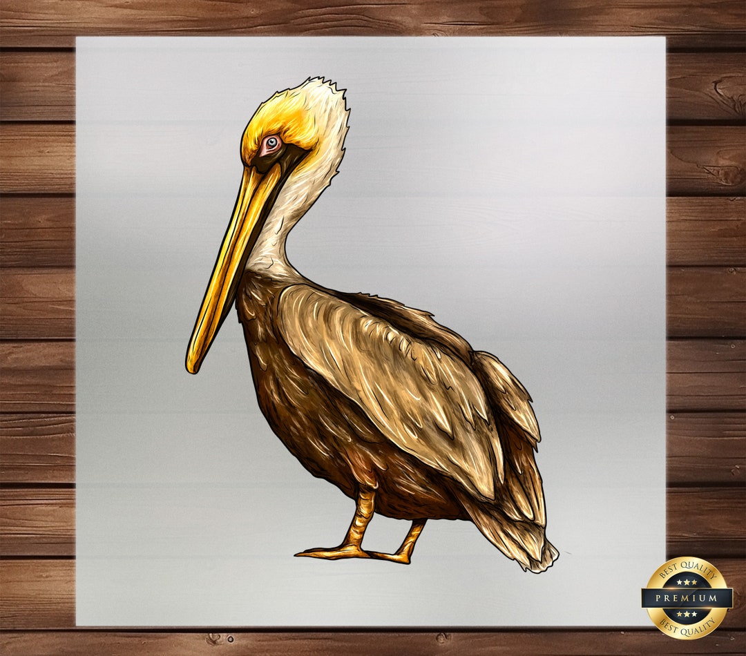 Louisiana Elegance Pelican DTF Transfer: Majestic State Bird Design ...