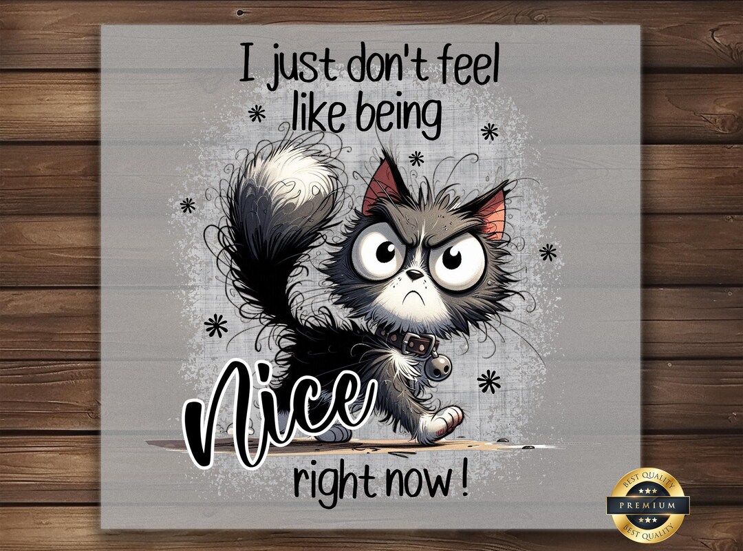 Grumpy Cat DTF Transfer: Sarcastic Don't Feel Like Being Nice Quote - Etsy