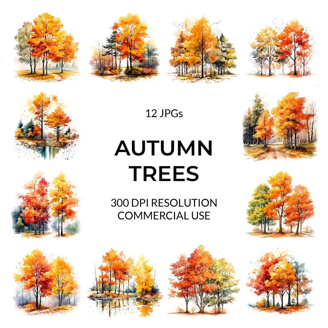 Autumn Trees Clipart | Fall Trees | High Quality JPG | Digital Download ...