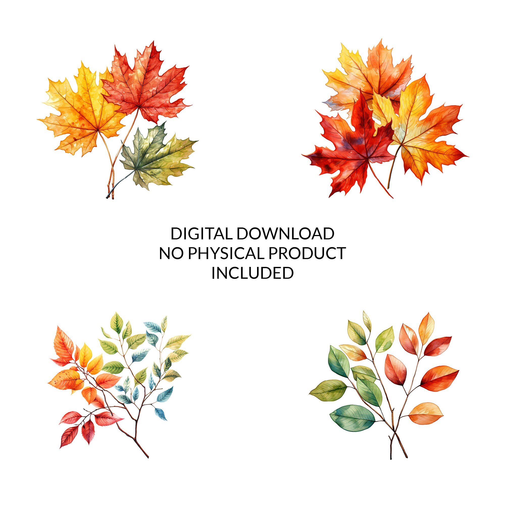 Autumn Leaves Clipart Fall Leaves Fall Foliage Autumn Leaf - Etsy