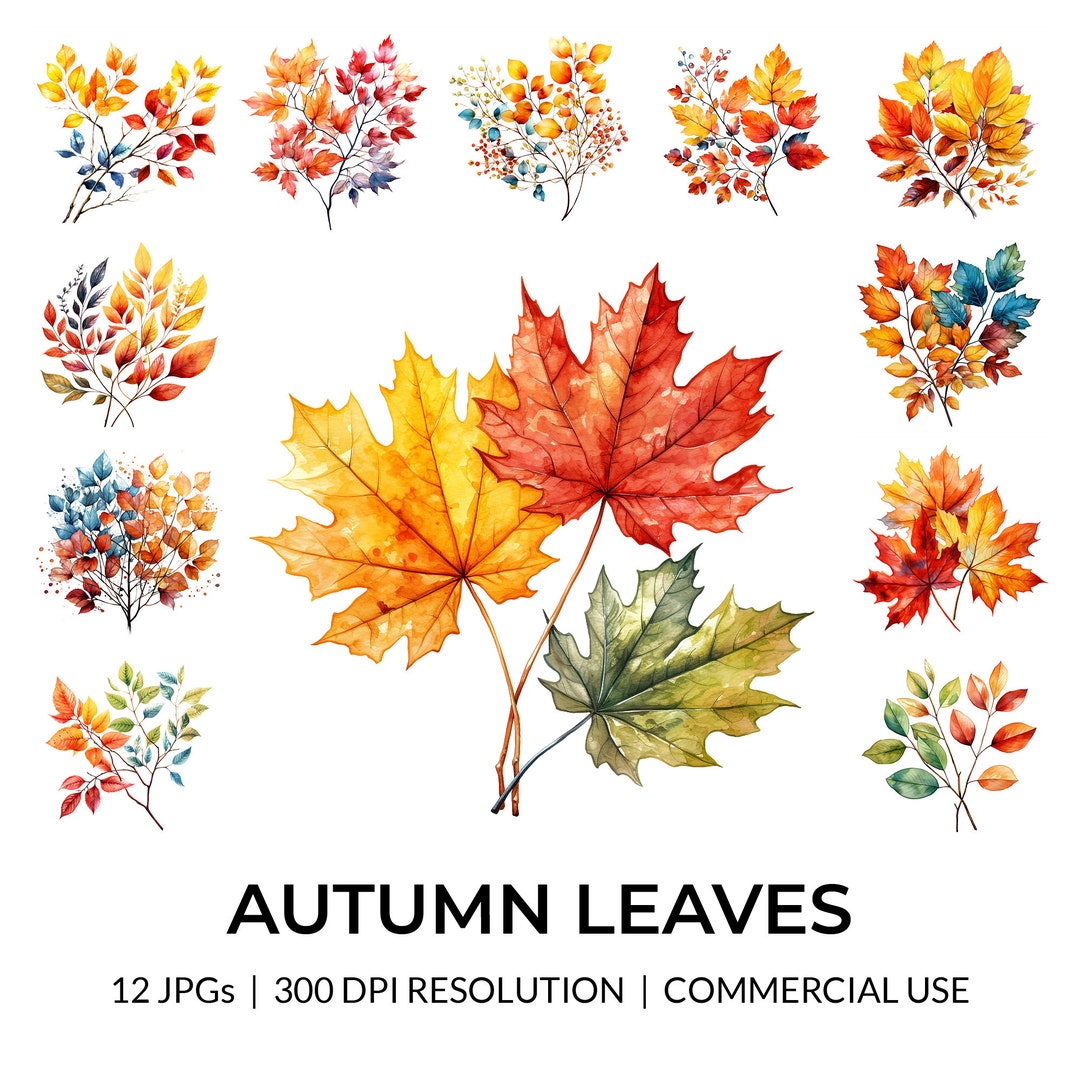 Autumn Leaves Clipart, Fall Leaves, Fall Foliage, Autumn Leaf, Digital ...