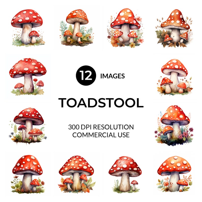 Watercolor Toadstool Clipart | High Quality Jpgs | Digital Download ...