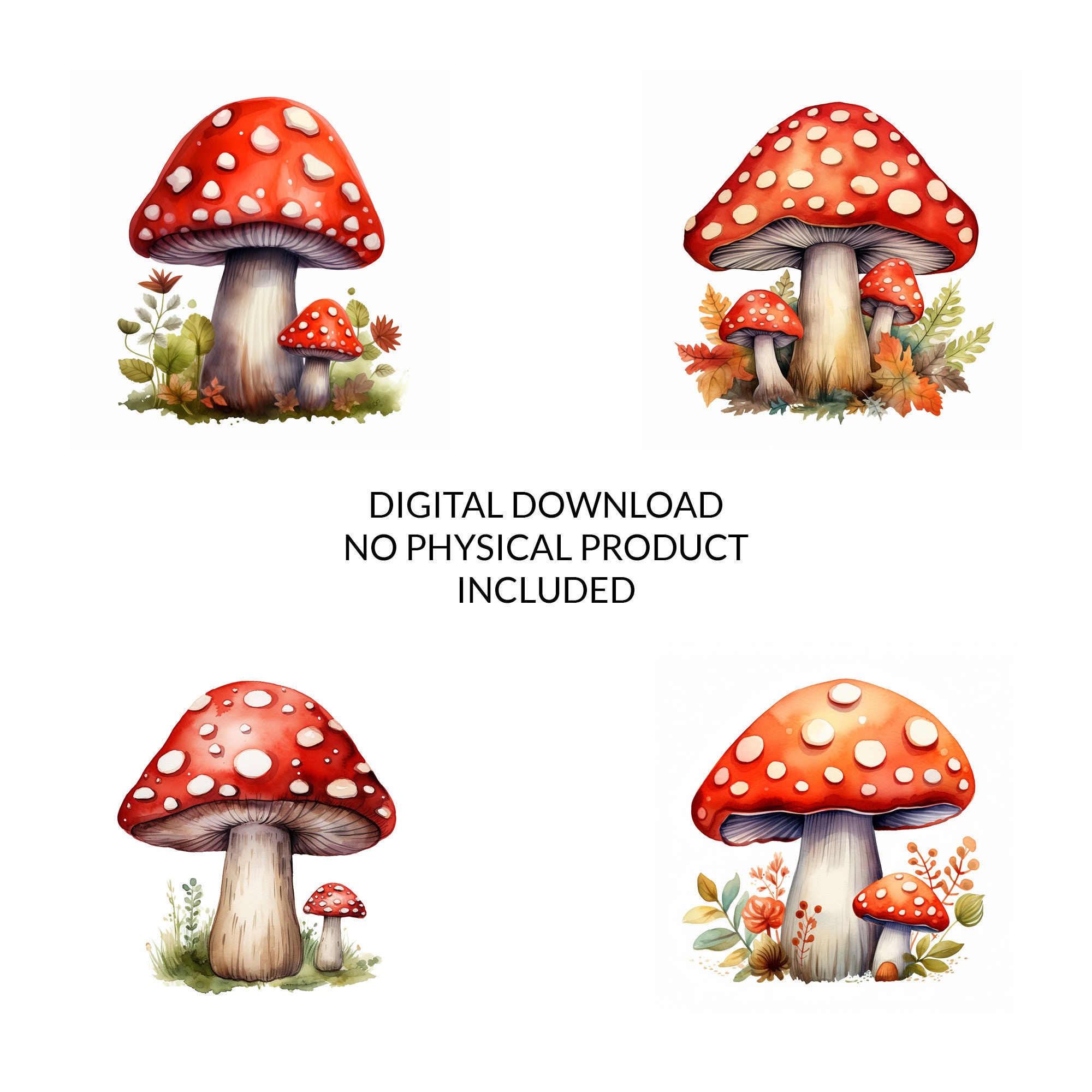 Watercolor Toadstool Clipart | High Quality Jpgs | Digital Download ...