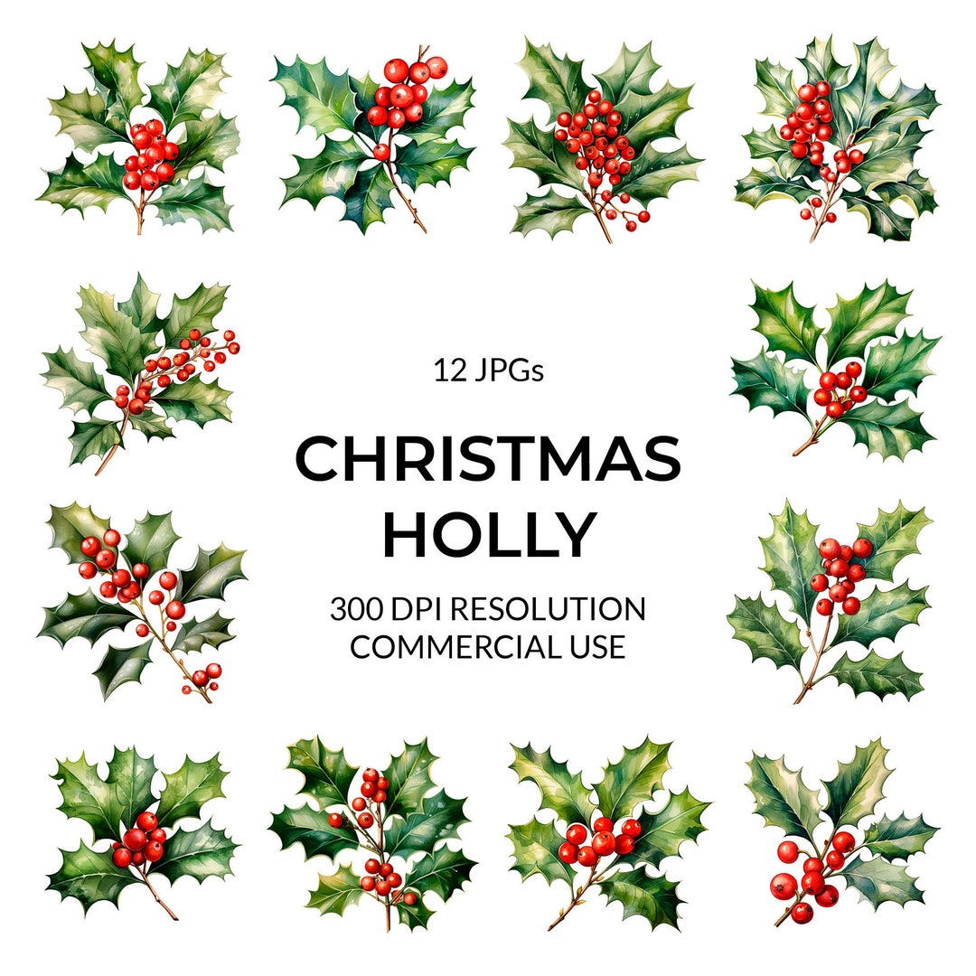 Watercolor Christmas Holly Clipart | High Quality Jpgs | Digital ...