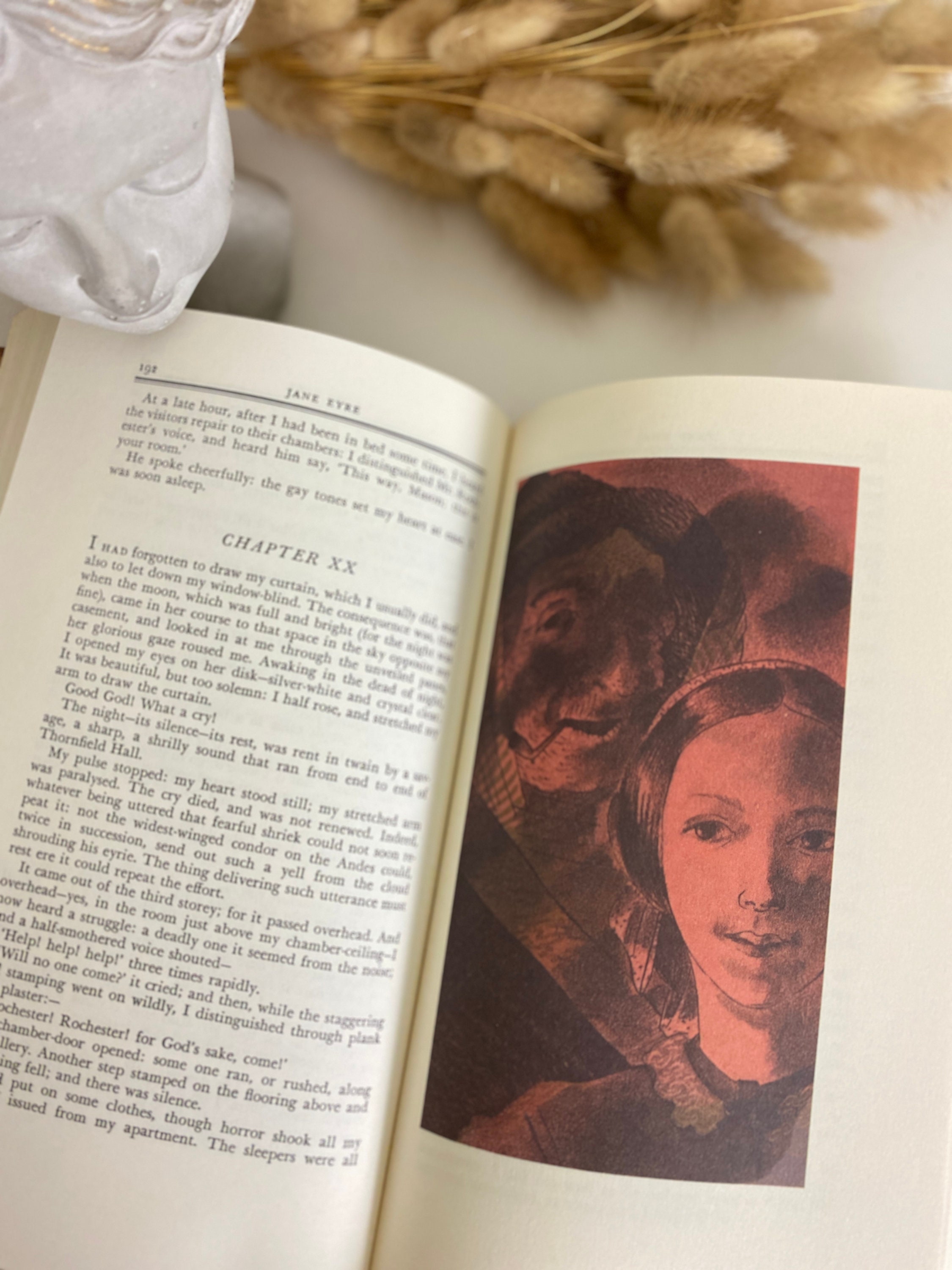 Jane Eyre Charlotte Bronte Illustrated Hardcover The Etsy