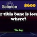 Are You Smarter Than A 5th Grader: Jeopardy | Interactive Powerpoint ...