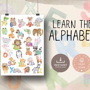 Learn the Alphabet Poster for Kids // Cute Animals Poster // Alphabet ...