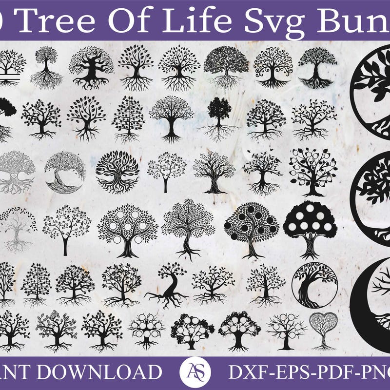 Tree of Life Svg - Etsy