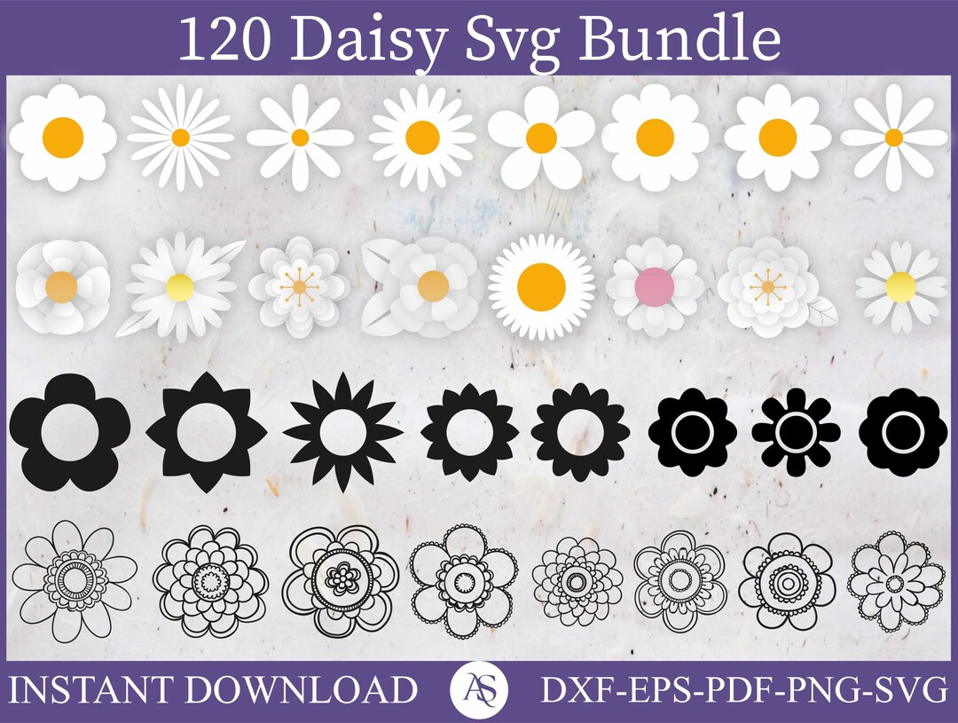 Daisy SVG Bundle, Flower Svg, Floral SVG, Spring Summer Svg, Retro ...