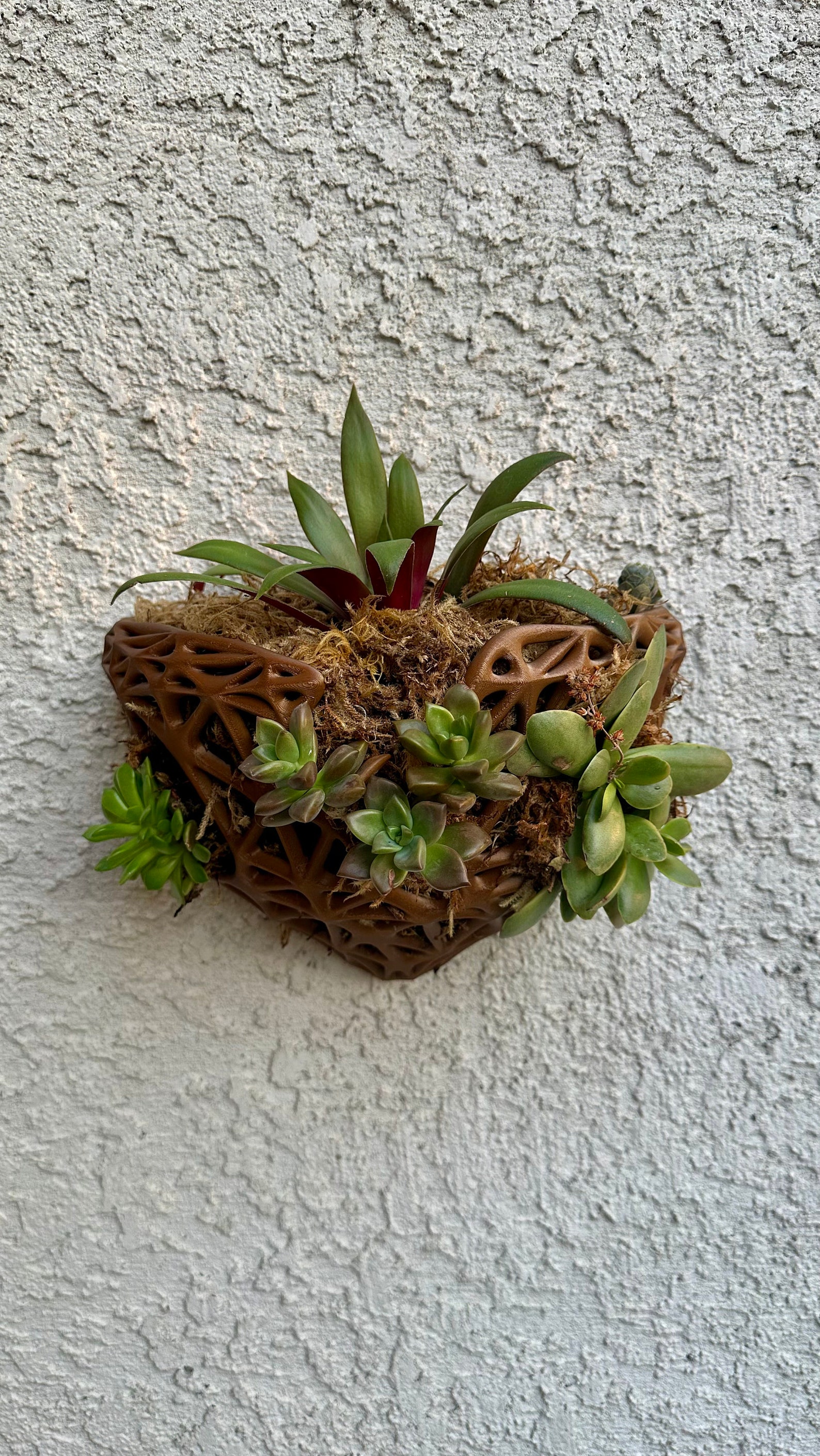Hanging Planter Pot Succulents/plants Will Love Organic Airy Plant ...