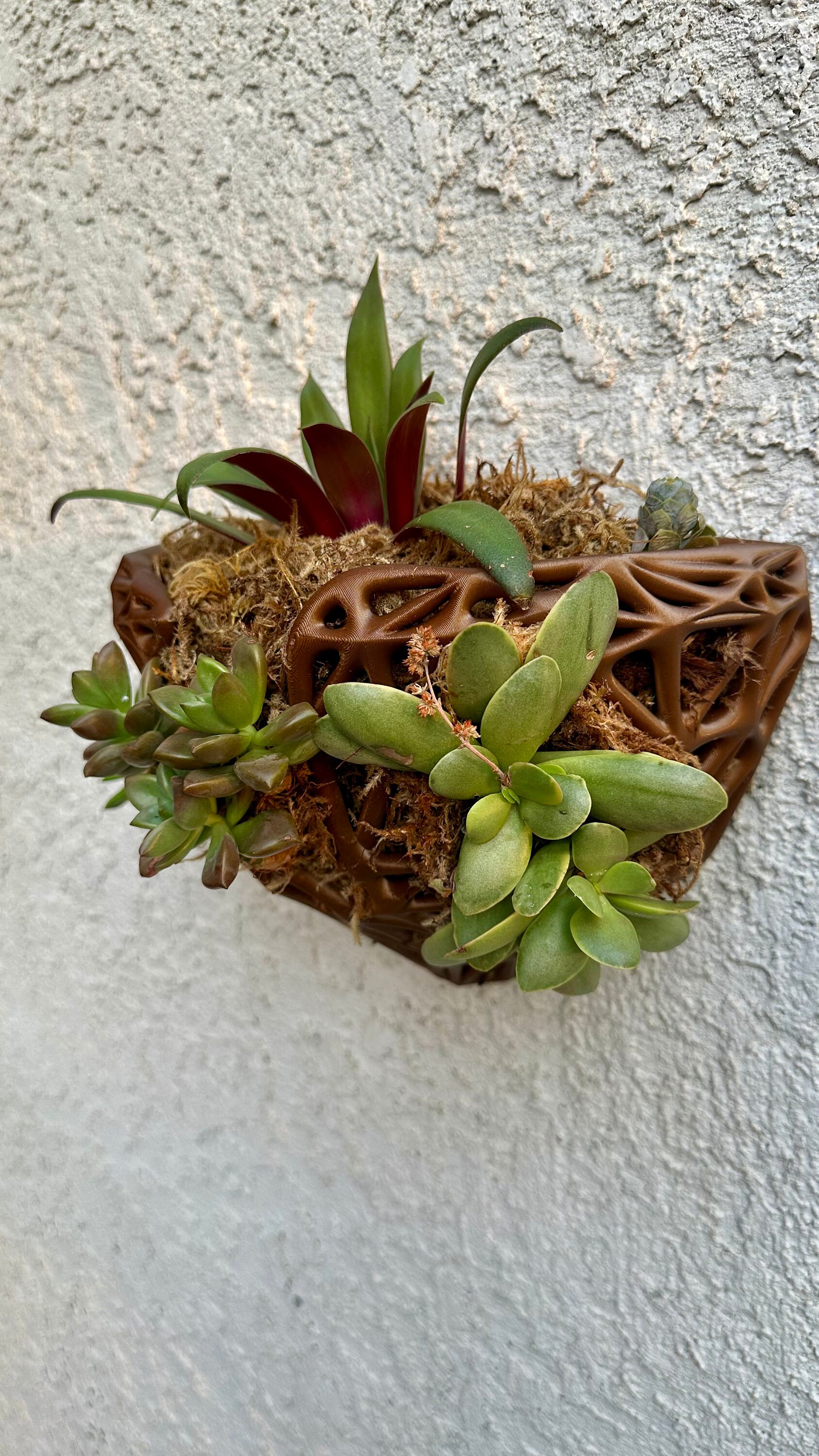 Hanging Planter Pot Succulents/plants Will Love Organic Airy Plant ...