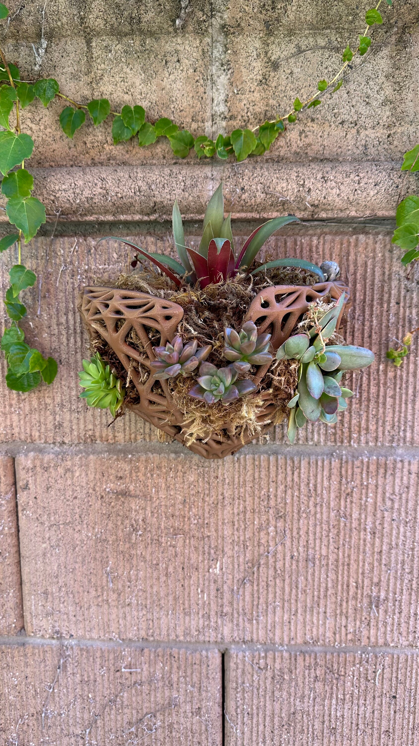 Hanging Planter Pot Succulents/plants Will Love Organic Airy Plant ...