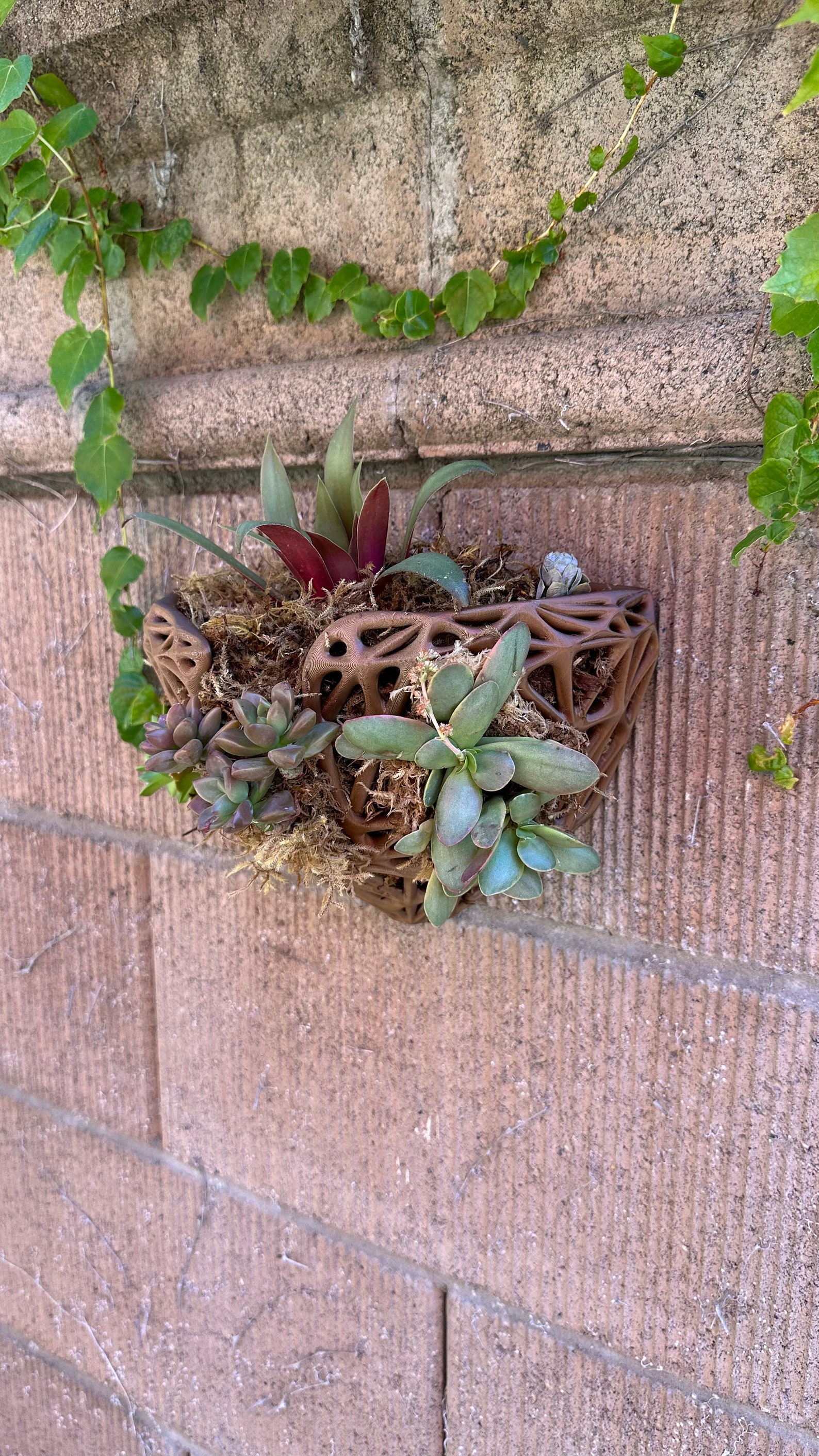Hanging Planter Pot Succulents/plants Will Love Organic Airy Plant ...