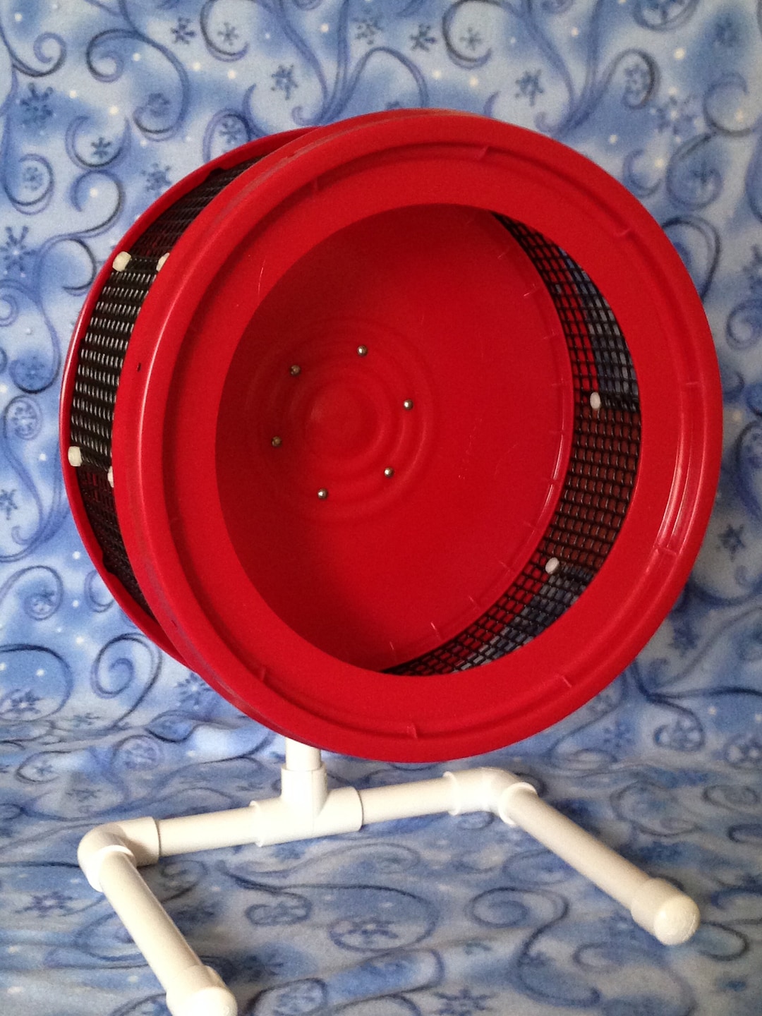 Raptor Mod Sugar Glider Running Exercise Wheel - Etsy