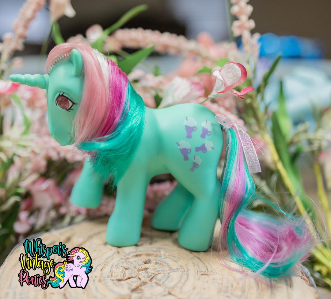 My Little Pony Fizzy Twinkled Eyes G1 Vintage - Etsy
