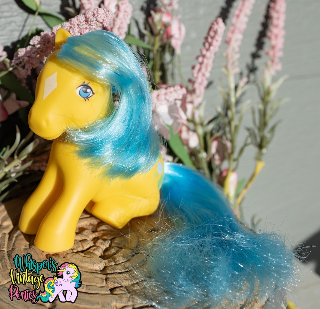 My Little Pony Bubbles G1 Vintage Earth Ponies - Etsy UK