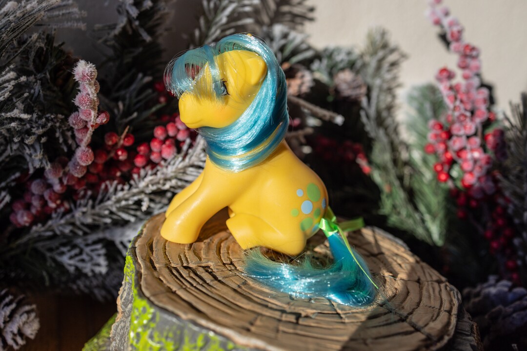 My Little Pony Bubbles G1 Vintage Earth Ponies - Etsy