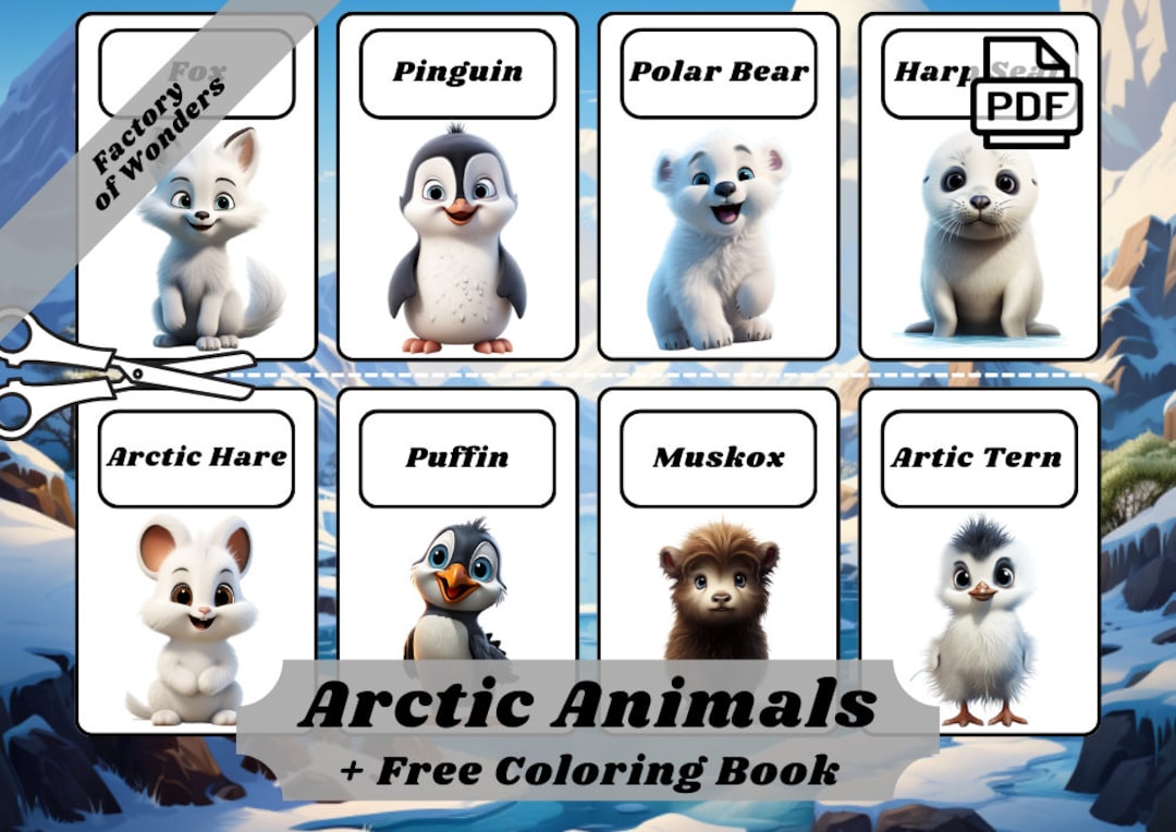 ARCTIC ANIMALS|25 Printable Flash Cards|three Languages|montessori ...