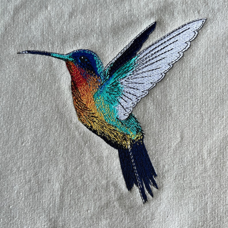 Embroidered Hummingbird Big Colorful Bird Nature Art Hoodie Crewneck ...