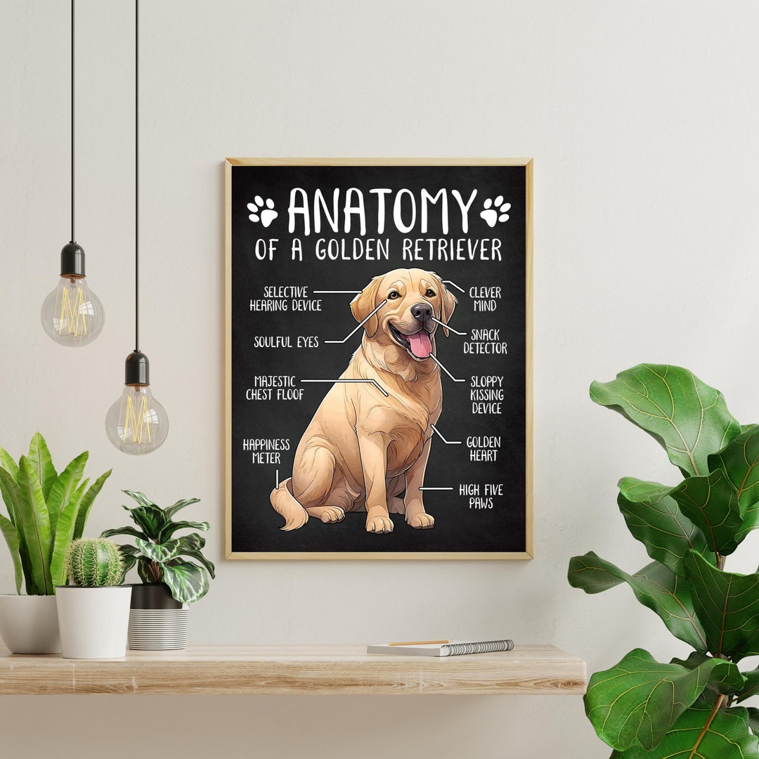 Anatomy of a Golden Retriever Wall Art Golden Retriever Printable Whimsy Animal Art Golden ...