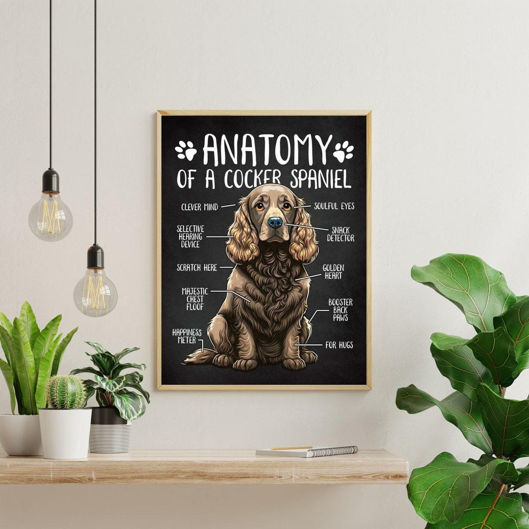 Anatomy of a Cocker Spaniel Wall Art Cocker Spaniel - Etsy