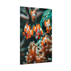 Clownfish Wall Art, Tropical Marine Fish Photography, Ocean Life Decor ...