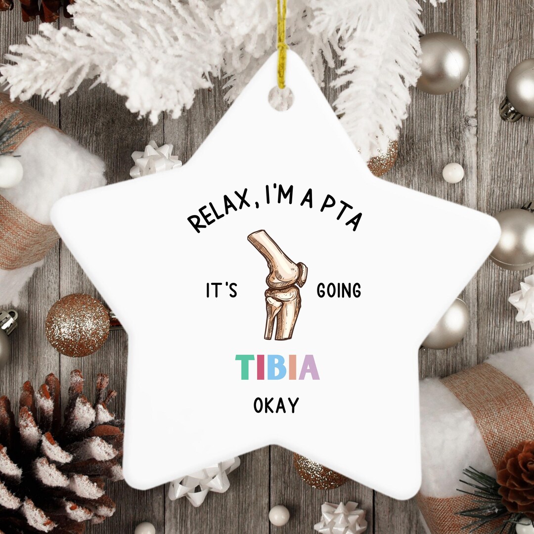 PTA Ornament, New PTA Gift, Physical Therapy, Physical Therapist ...