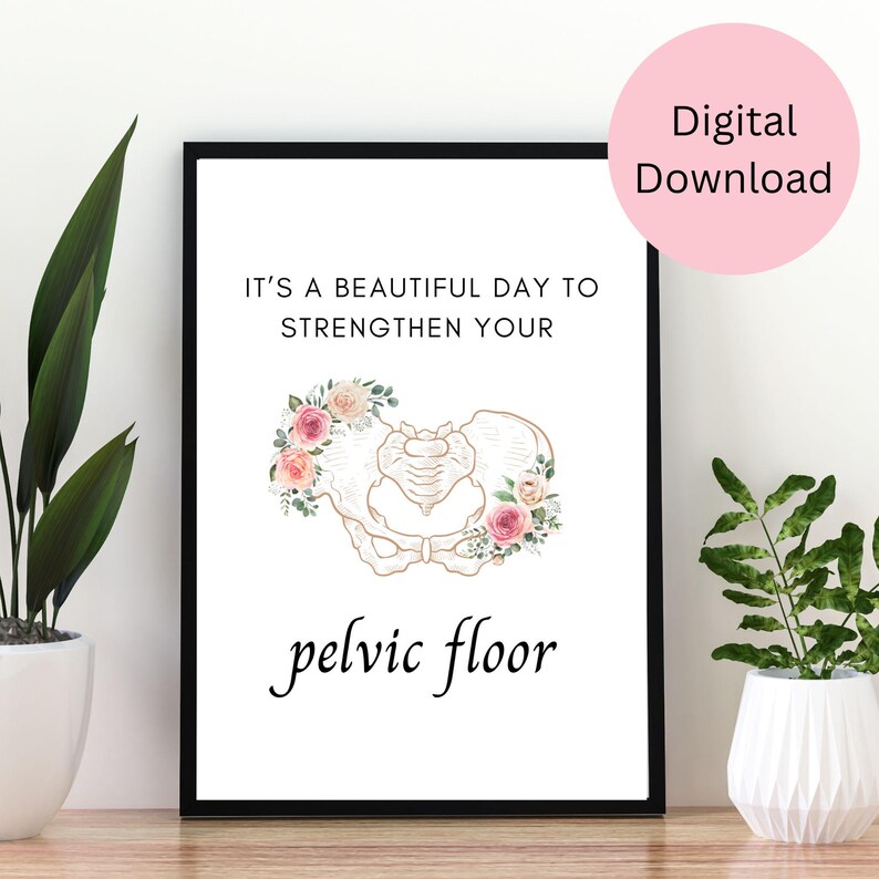 Pelvic Floor Anatomy Print: Women's Health Physical Therapy Art ...