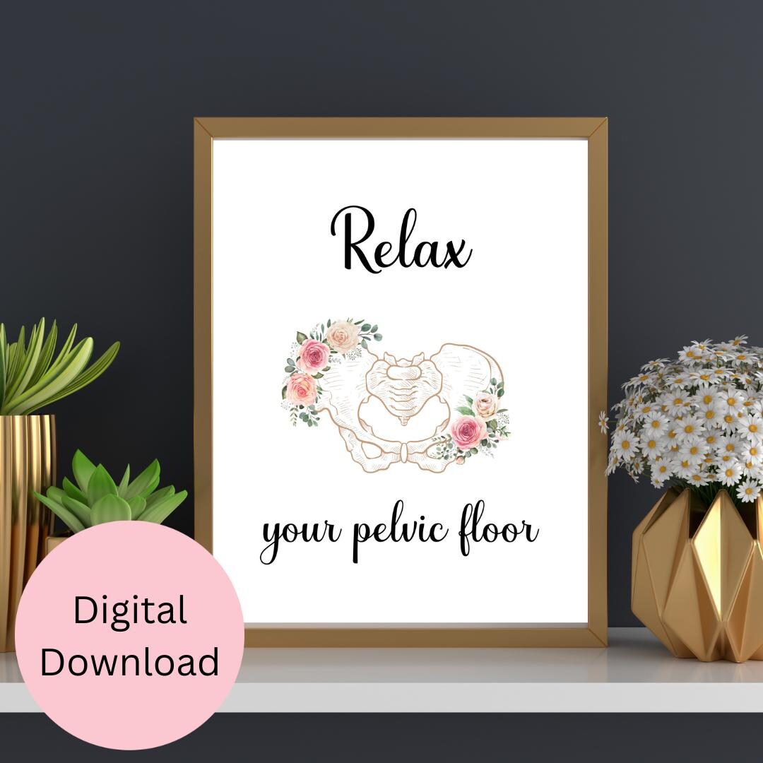 Pelvic Floor Anatomy Print: Women's Health Physical Therapy Art ...