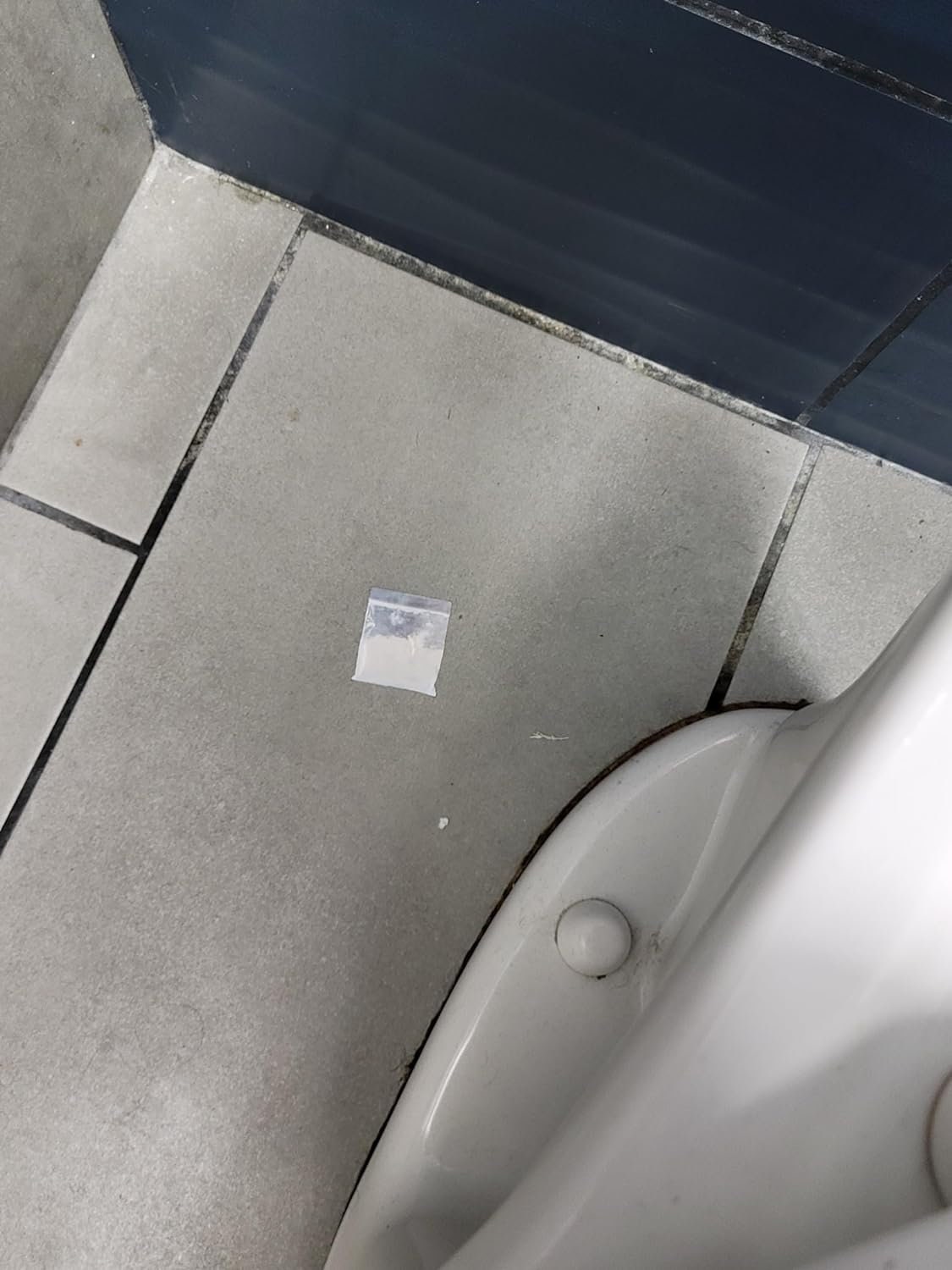 Coke Baggie Joke Sticker free Shipping - Etsy