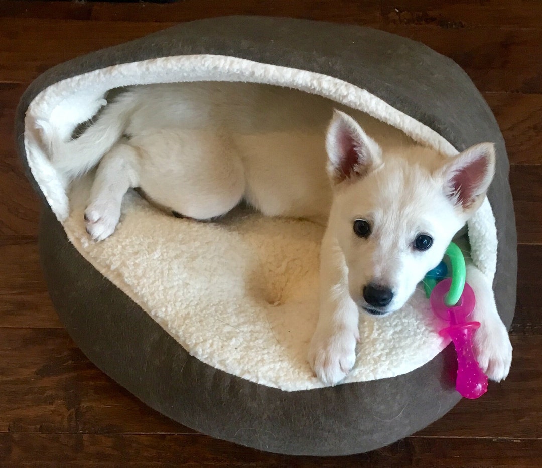 Digital Donation Thank You Card - Etsy