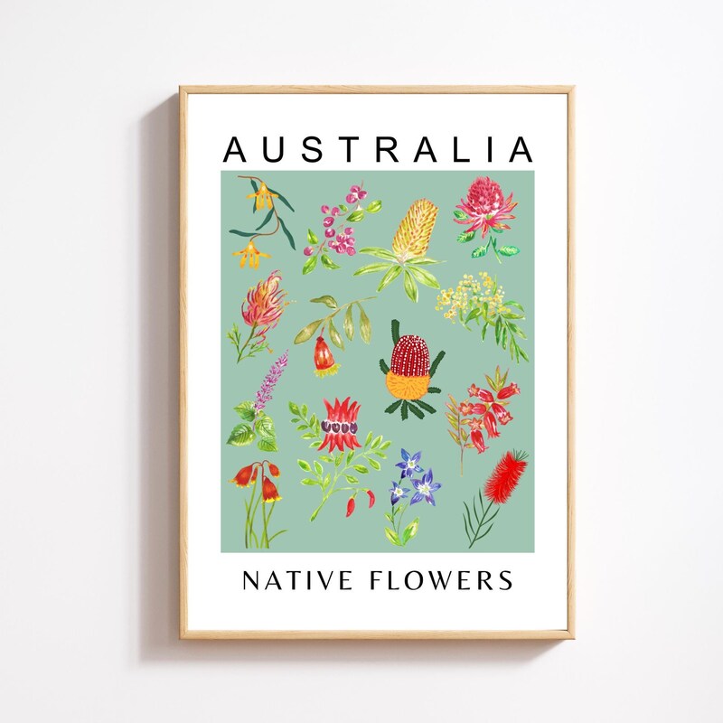 Australian Native Print - Etsy Australia