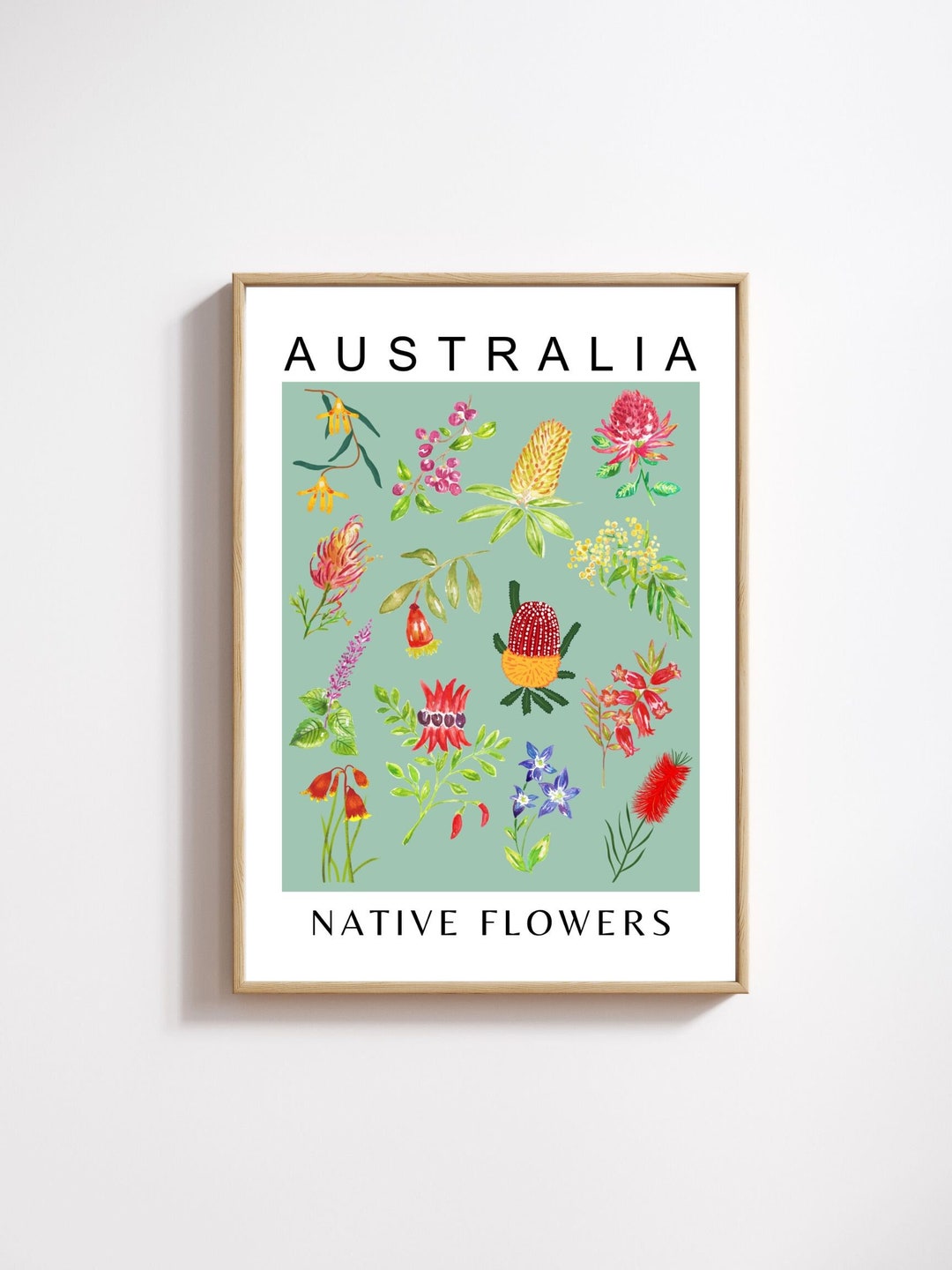 Australian Native Flowers Digital Print Native Flowers of Australia ...